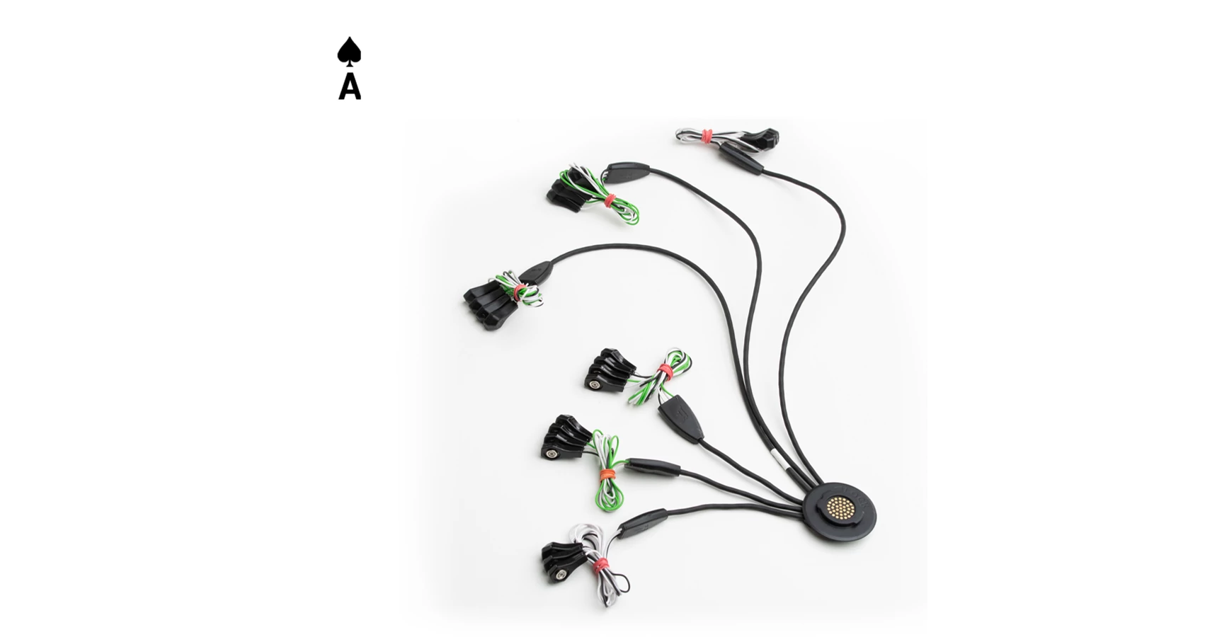 Ace cable L - Webshop of EMS equipment of top brands - Emsfitness.store